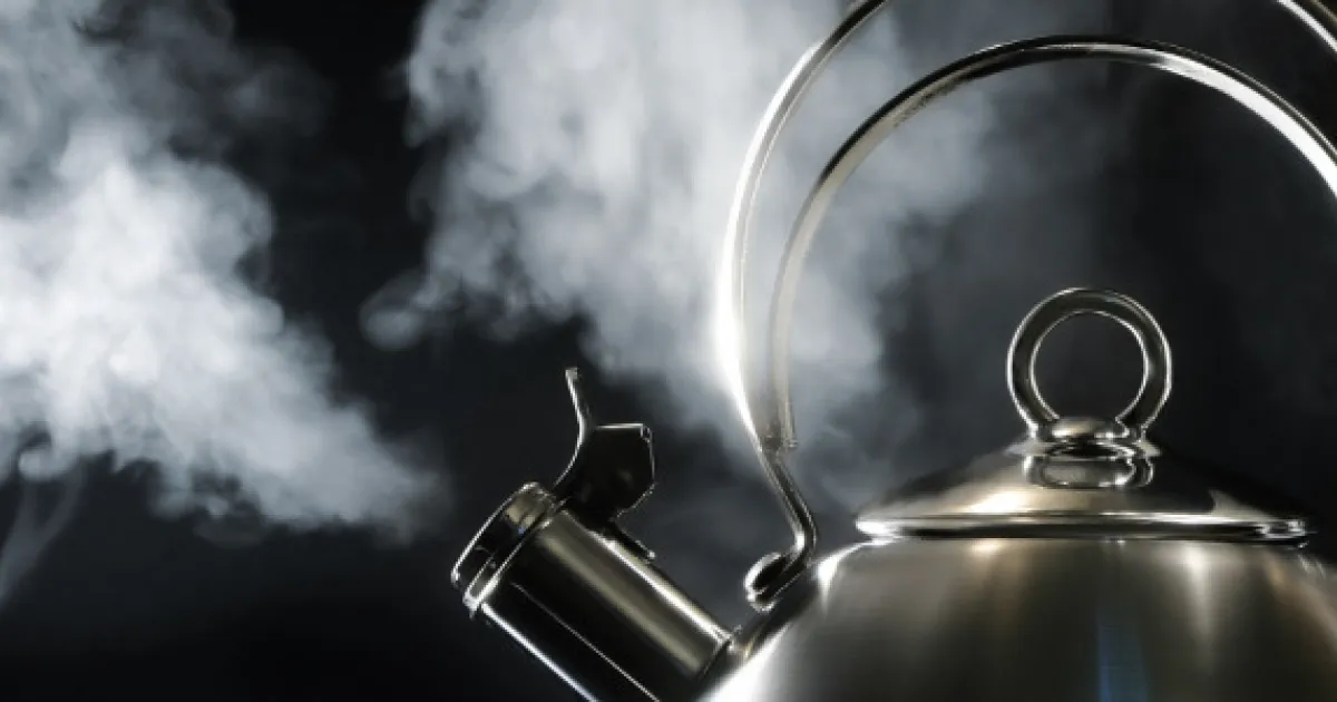 Basic Concepts of Steam | Tuttnauer